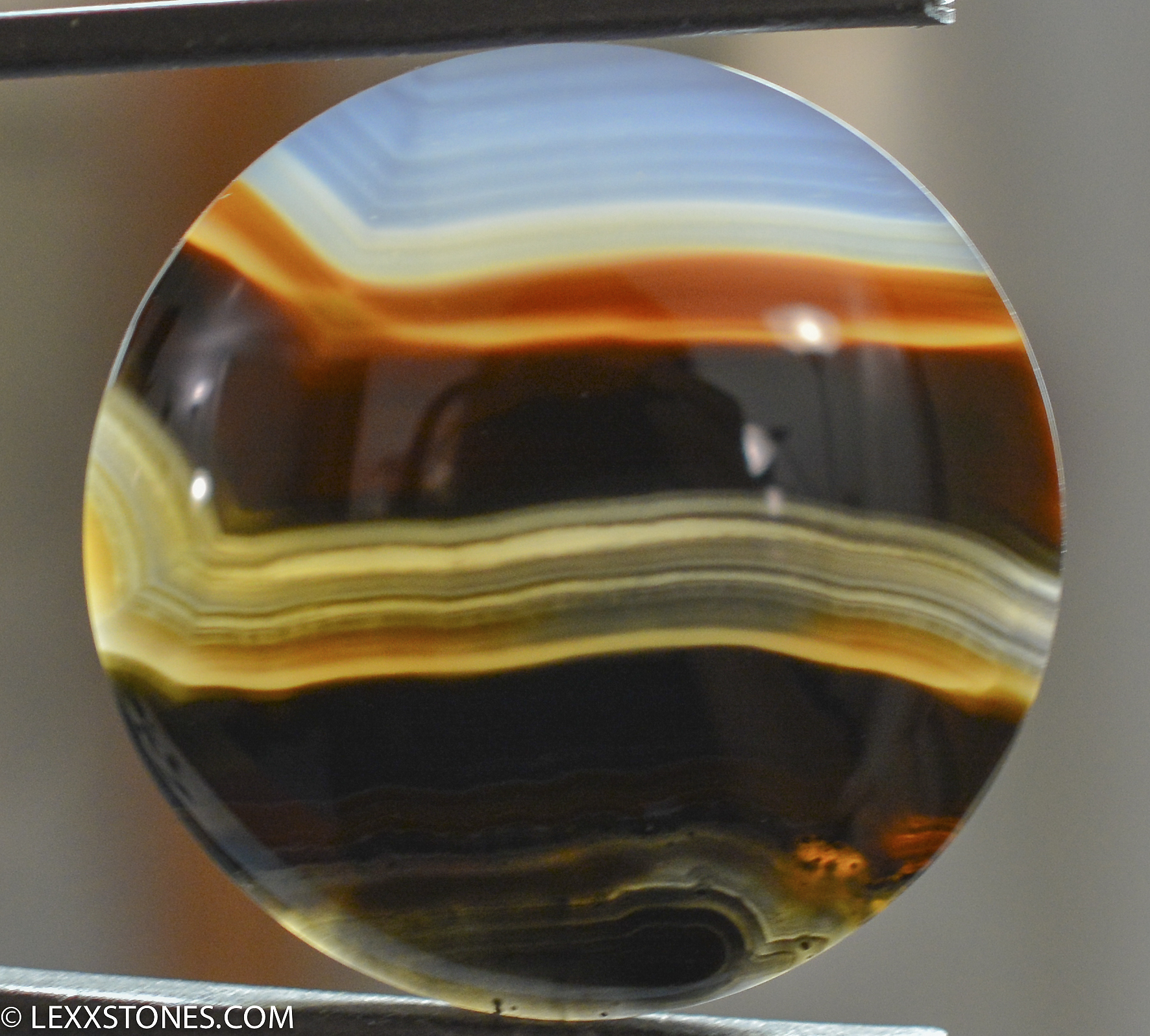 Piranha Agate Lexx Stones | Lexx Stones