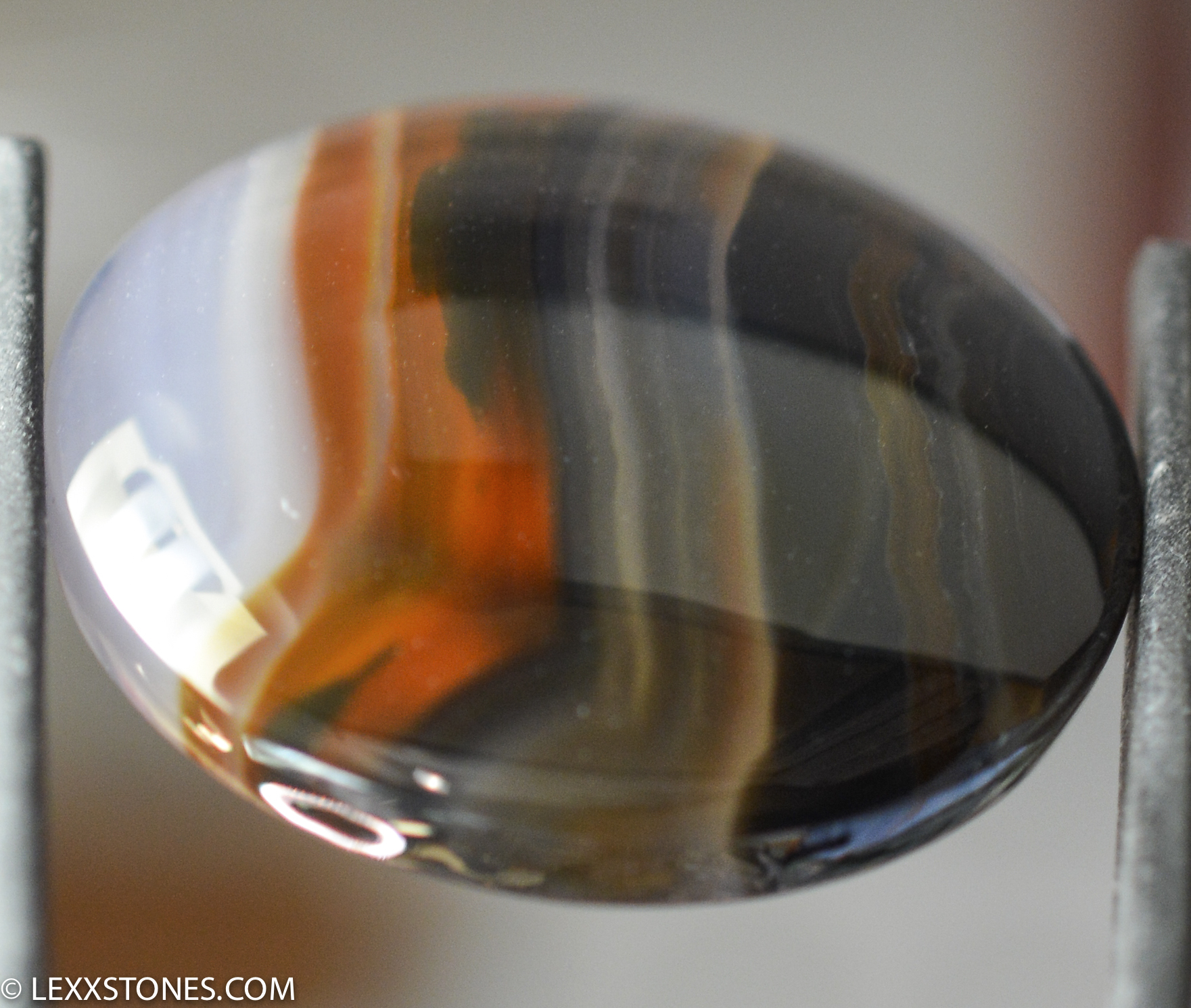 Piranha Agate Lexx Stones | Lexx Stones