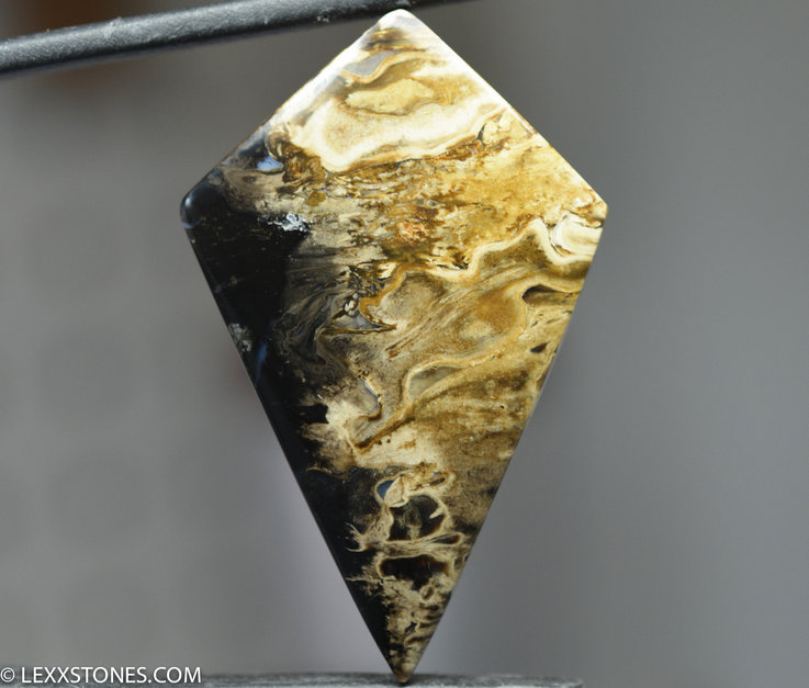 Indonesian Palm Root Lexx Stones | Lexx Stones