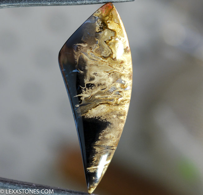 Indonesian Palm Root Lexx Stones | Lexx Stones