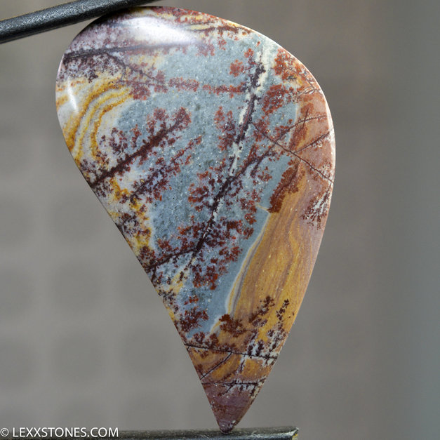 Sonoran Dendritic Rhyolite Lexx Stones | Lexx Stones